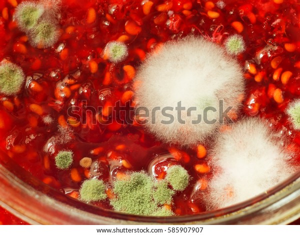 Mold On Poor Quality Raspberry Jam Stock Photo 585907907 | Shutterstock