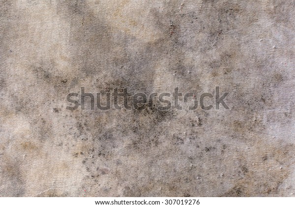 Moldy Fabric Texture Stock Photo 307019276 | Shutterstock