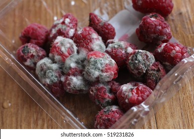 10,832 Moldy fruit Images, Stock Photos & Vectors | Shutterstock