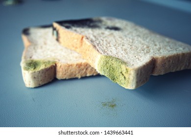 Moldy Slice Breads Uneatable Expired Stock Photo 1439663441 | Shutterstock