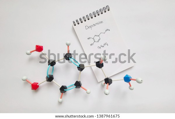Molecular Structure Model Dopamine Written Chemical Stock Photo ...