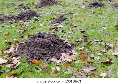 191 Soil Hump Images, Stock Photos & Vectors | Shutterstock