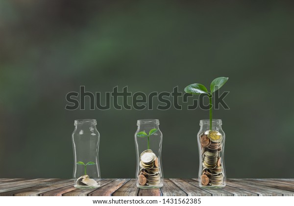 Money Step By Step Growing Stack Stock Photo (Edit Now) 1431562385
