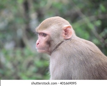 Stock Photo and Image Portfolio by Jenish Gamdha | Shutterstock