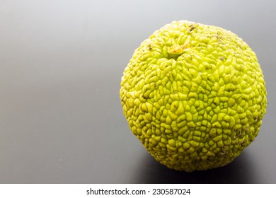 Monkey Brain Fruit Maclura Pomifera Stock Photo (Edit Now) 219808003