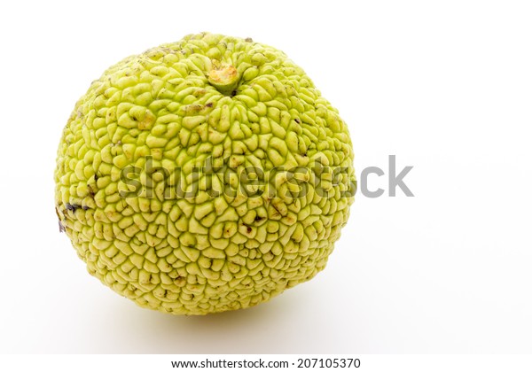 Monkey Brain Fruit Stock Photo 207105370 | Shutterstock