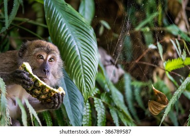 Stock Photo and Image Portfolio by Simon20 | Shutterstock