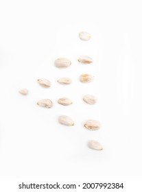 9,606 Jack Seeds Images, Stock Photos & Vectors | Shutterstock