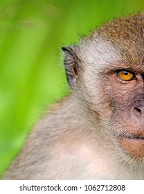Stock Photo and Image Portfolio by Tan Hock Teck | Shutterstock