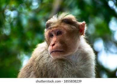 由 sap-snap 投稿的库存照片和图片组合 | Shutterstock