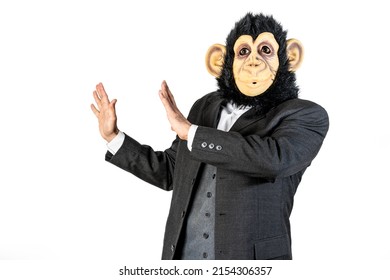 Monkey Man Explaining Hands Gestures Reassuring Stock Photo 2154306357 ...