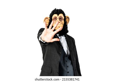 667 Monkey Making Faces Images, Stock Photos & Vectors | Shutterstock