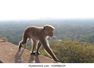 Stock Photo and Image Portfolio by UMAIR JAMAL | Shutterstock