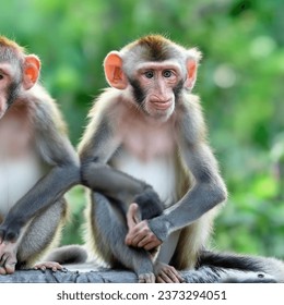 Troop Squirrel Monkeys Leaping Between Trees AI-generated image ...