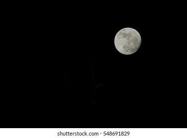 Moon Stock Photo 548691829 | Shutterstock