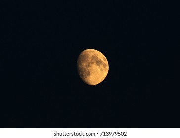 Closeup Yellow Half Moon On Dark Stock Photo 1316250602 | Shutterstock