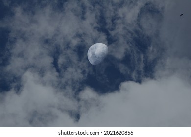 1,138 Moon between clouds Images, Stock Photos & Vectors | Shutterstock