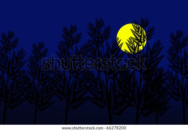 Moon Night Tree Shadow Stock Photo 66278200 | Shutterstock