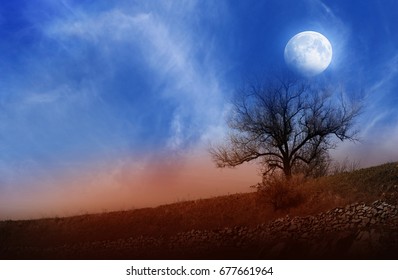 Full Moon Australian Outback Stock Photo (Edit Now) 1157373526