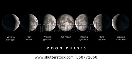 Moon Phases Text Elements This Image Stock Photo (Edit Now) 558772858 ...