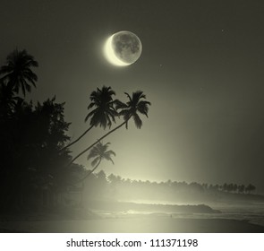 Moonlight Stock Photo 111371198 | Shutterstock