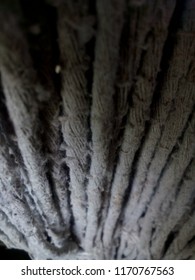 Mop String Lines Textures Stock Photo 1170767563 | Shutterstock