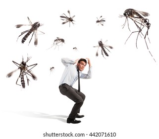 1,808 Mosquitoes attack Images, Stock Photos & Vectors | Shutterstock