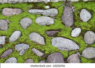 Moss Stone Texture Background Stock Photo 63256936 | Shutterstock