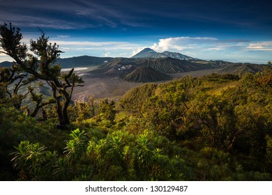 Mount Bromo Java Indonesia Stock Photo 130129487 | Shutterstock