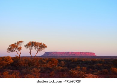 703 Blue conner Images, Stock Photos & Vectors | Shutterstock