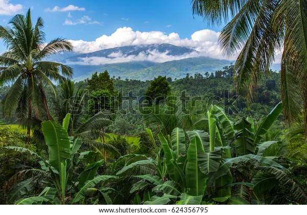 Mount Halcon Cloudsmindoro Islandphilippines Stock Photo (Edit Now ...