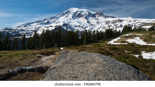 Mount Rainer Stock Photo 590684798 | Shutterstock