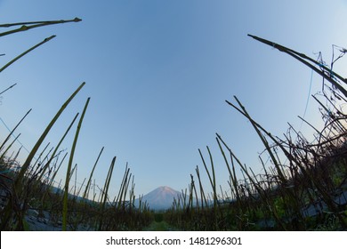 Mount Semeru Highest Volcano Java 3676 Stock Photo 1481296301 ...