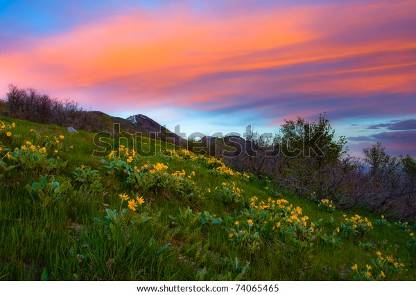 Mountain Meadow Sunset Stock Photo (Edit Now) 74065465