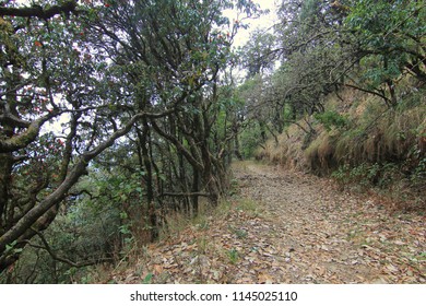 30 Gagar Images, Stock Photos & Vectors | Shutterstock