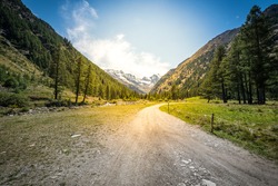 Path in a forest featuring mountain, forest, and road, a Nature Photo ...