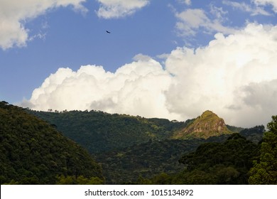 14 Rio do bugre Images, Stock Photos & Vectors | Shutterstock