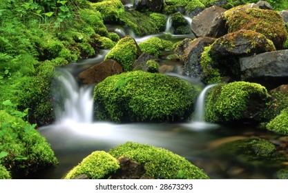 628,833 Forest stream background Images, Stock Photos & Vectors ...