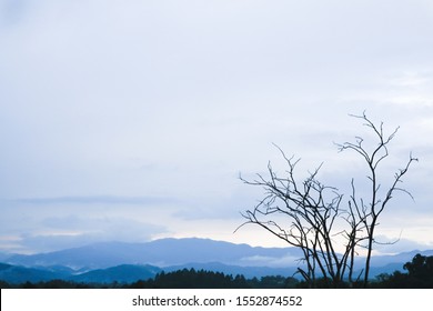 151 Sun Almost Set Images, Stock Photos & Vectors | Shutterstock