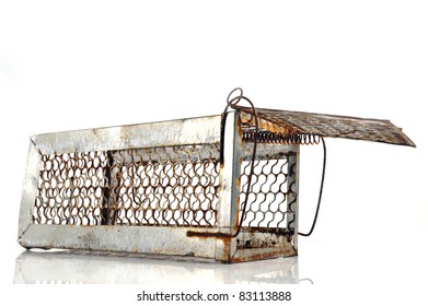 Mouse Trap Stock Photo 83113888 | Shutterstock
