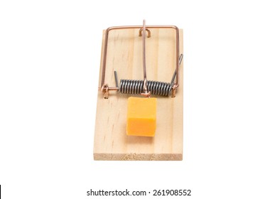 311 Mouse trap top view Images, Stock Photos & Vectors | Shutterstock