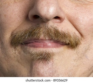 8,348 Face With Moustache Closeup Images, Stock Photos & Vectors ...