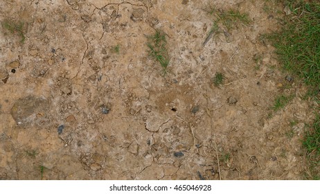Mud Bits Grass Texture Stock Photo 465046928 | Shutterstock
