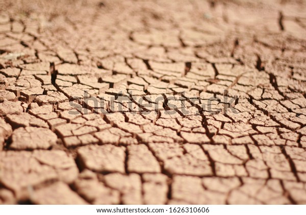 Mud Cracking Process Commonly Found Hot Stock Photo 1626310606 ...