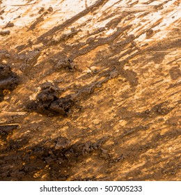 Mud Splatter Background Stock Photo 507005233 | Shutterstock