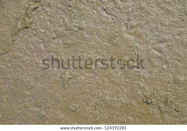 Mud Texture Stock Photo 524192281 | Shutterstock