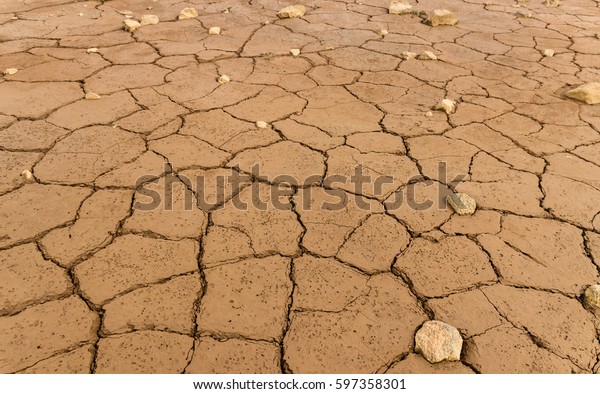 Mud Texture Drying Prism Desiccation Cracks Stock Photo 597358301 ...