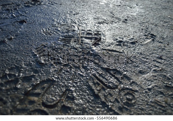 Muddy Floor Stock Photo 556490686 | Shutterstock