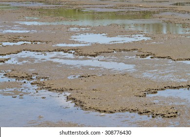29,035 Muddy ground Images, Stock Photos & Vectors | Shutterstock