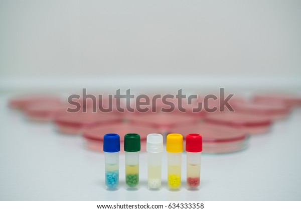 Multi Color Capping Five Cryotubes Agar Stock Photo (Edit Now) 634333358